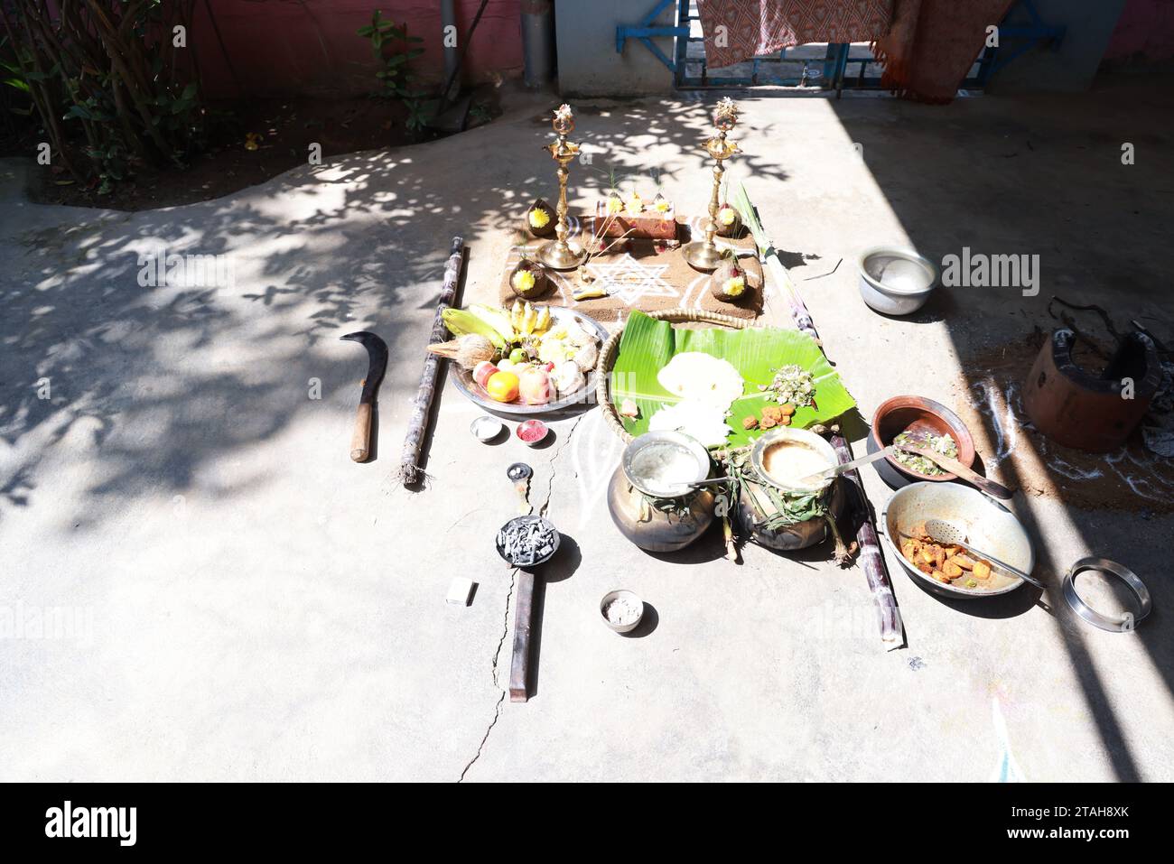 Pongal poo -Fotos und -Bildmaterial in hoher Auflösung – Alamy