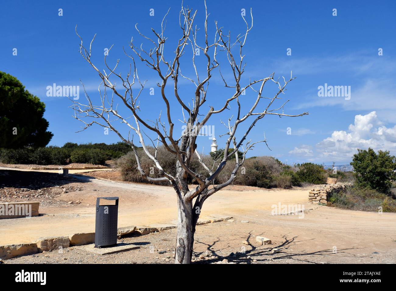 Paphos, Zypern - 02. Oktober 2023: Archäologischer Park von Kato Paphos ...