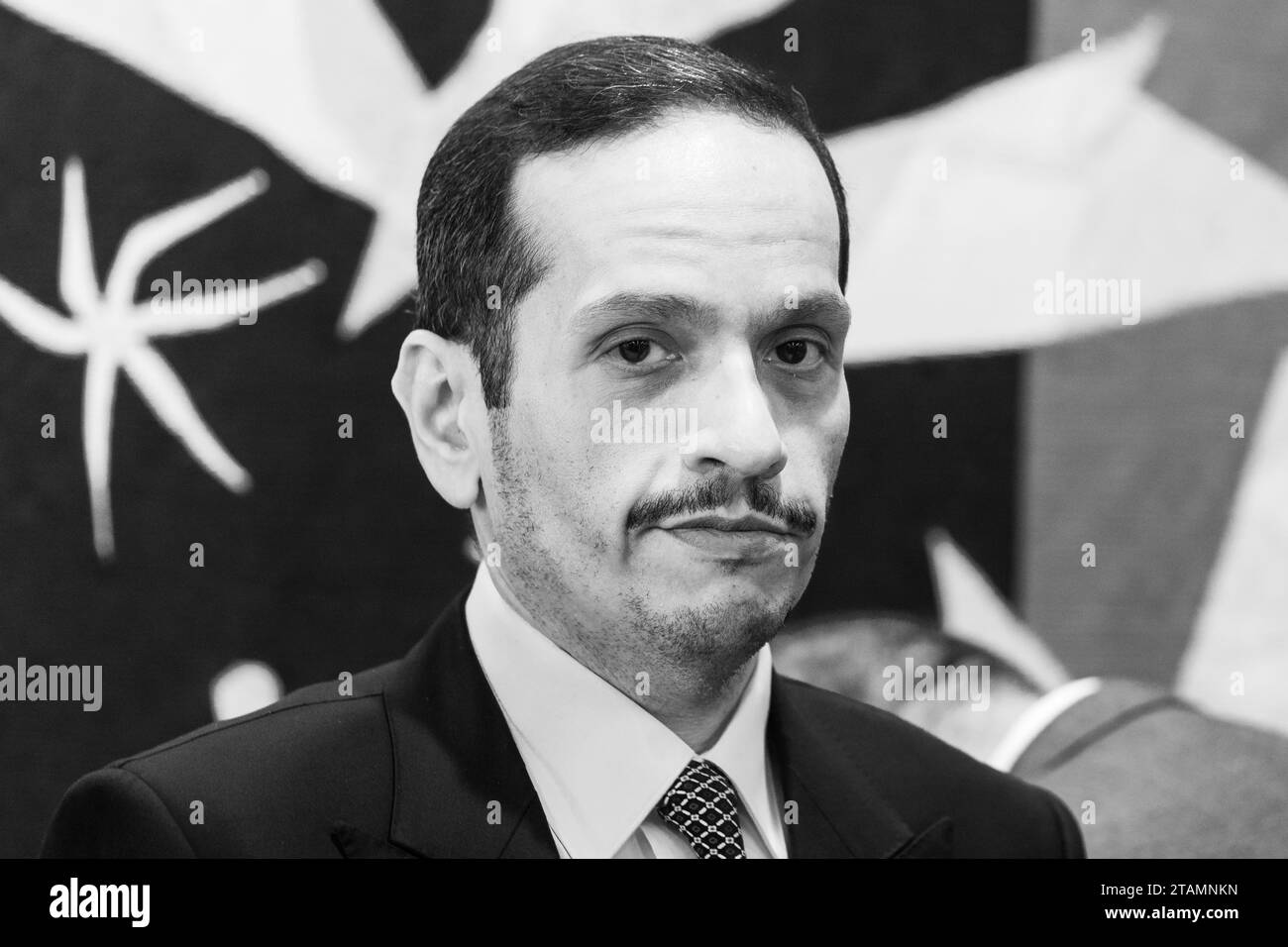 Das Mitglied des Ministerausschusses des Gemeinsamen arabisch ...