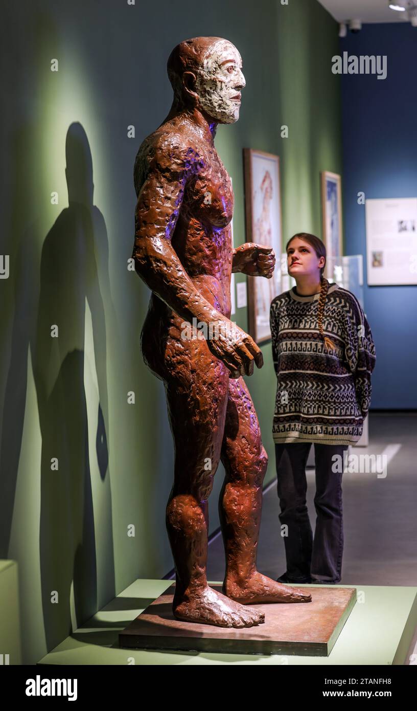 Dorset, England, Großbritannien. Dezember 2023. Riacce III., dreißig ...