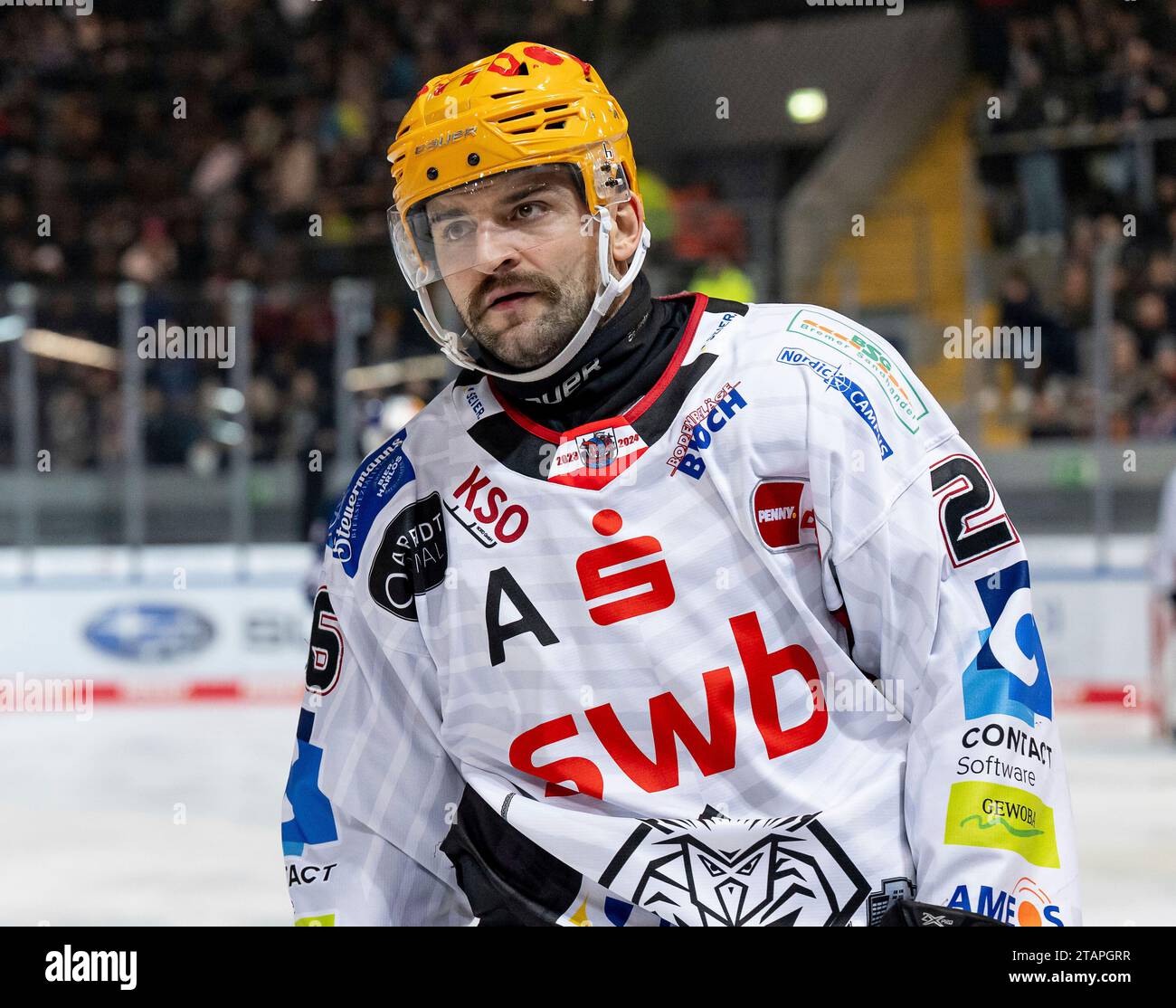 Dominik uher fischtown pinguine bremerhaven -Fotos und -Bildmaterial in ...