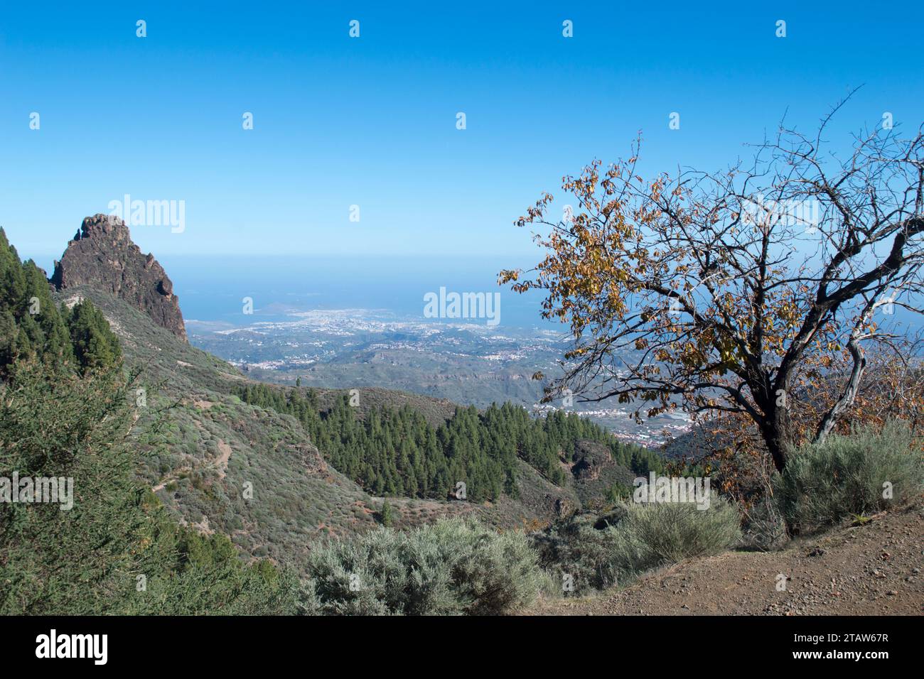La isla verde -Fotos und -Bildmaterial in hoher Auflösung – Alamy