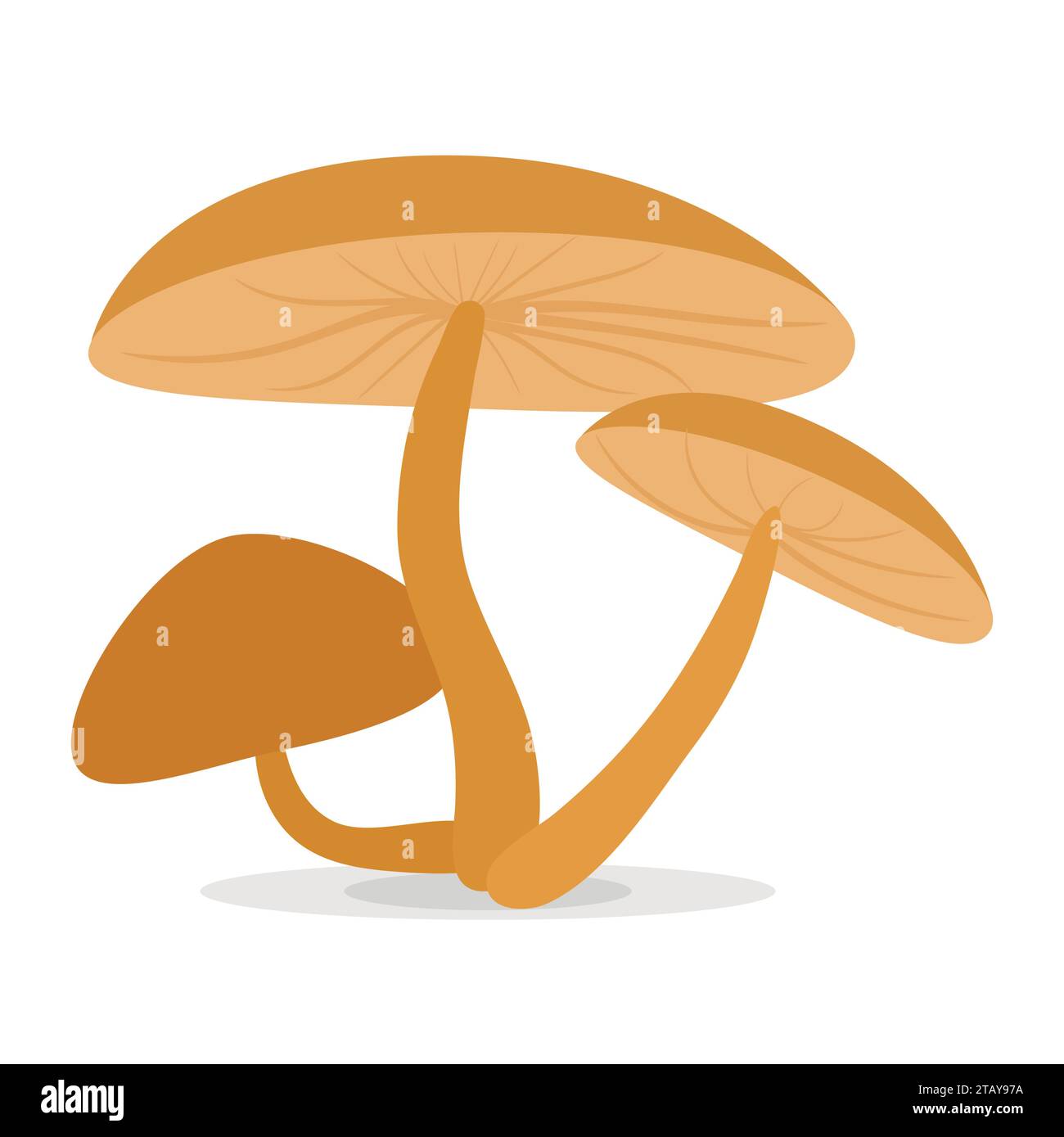 Pilze cartoon Stock-Vektorgrafiken kaufen - Alamy