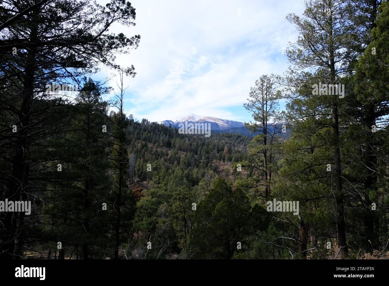 Das ist von einer Reihe von Fotos, die ich auf dem Grindstone Lake Loop ...