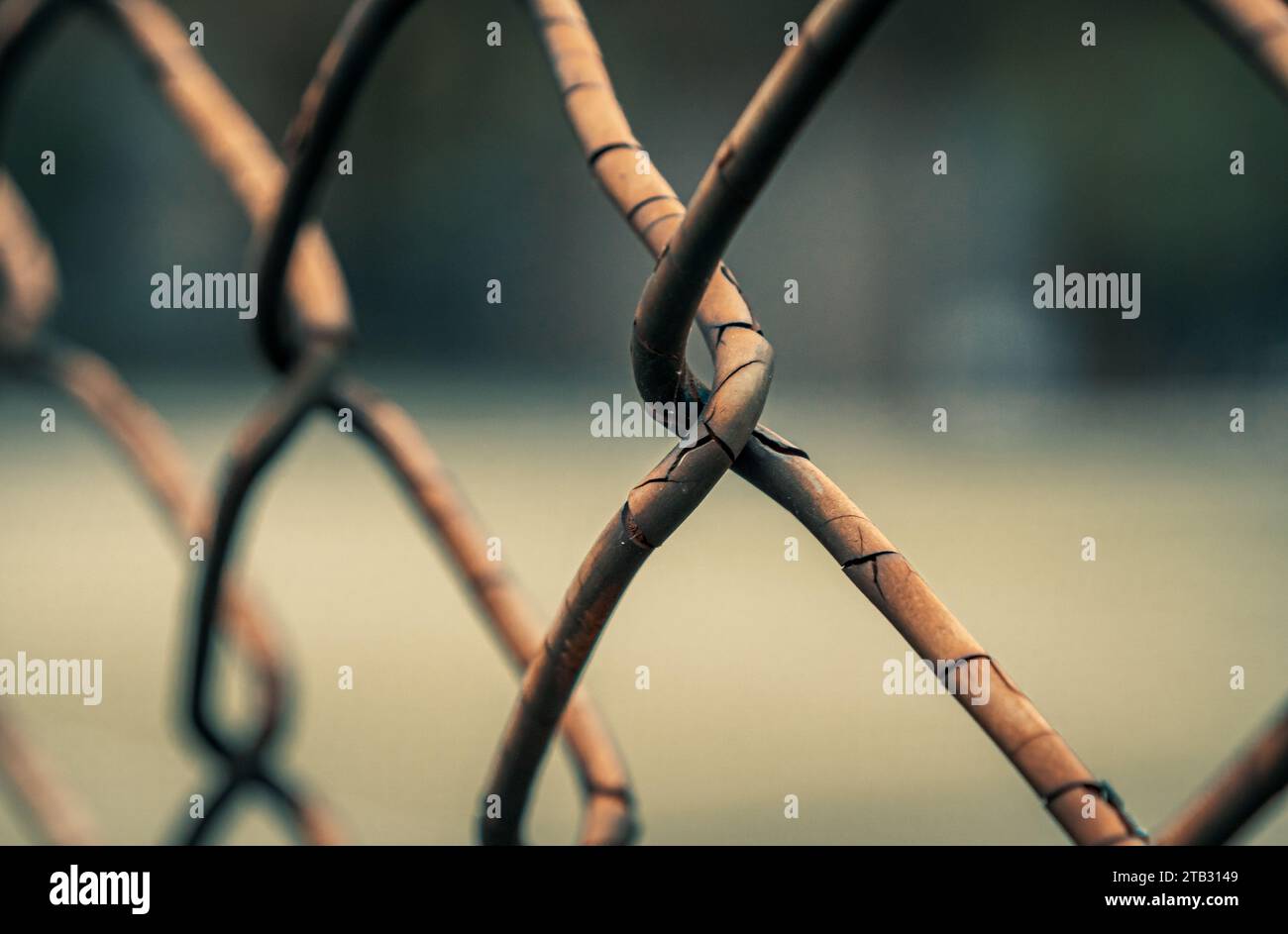 Metallzaun im flachen fokus -Fotos und -Bildmaterial in hoher Auflösung ...