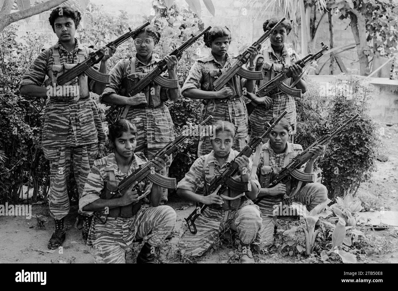 Die Liberation Tigers of Tamil Eelam LTTE kämpften für die Schaffung ...