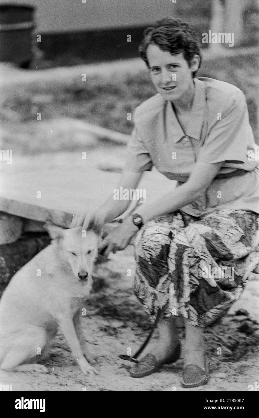 Die Liberation Tigers of Tamil Eelam LTTE kämpften für die Schaffung ...