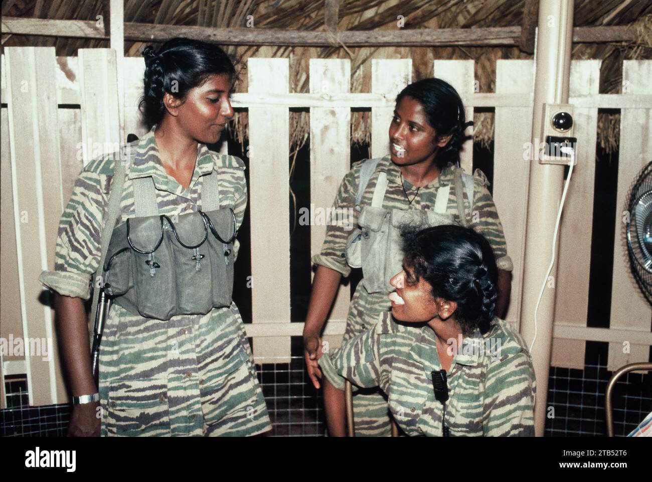 Die Liberation Tigers of Tamil Eelam LTTE kämpften für die Schaffung ...