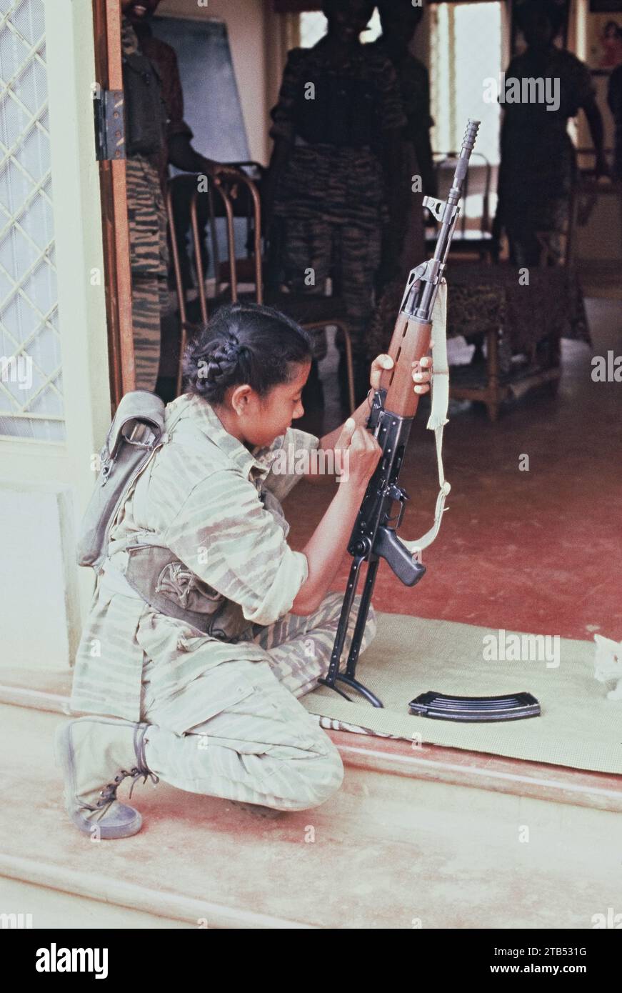Die Liberation Tigers of Tamil Eelam LTTE kämpften für die Schaffung ...