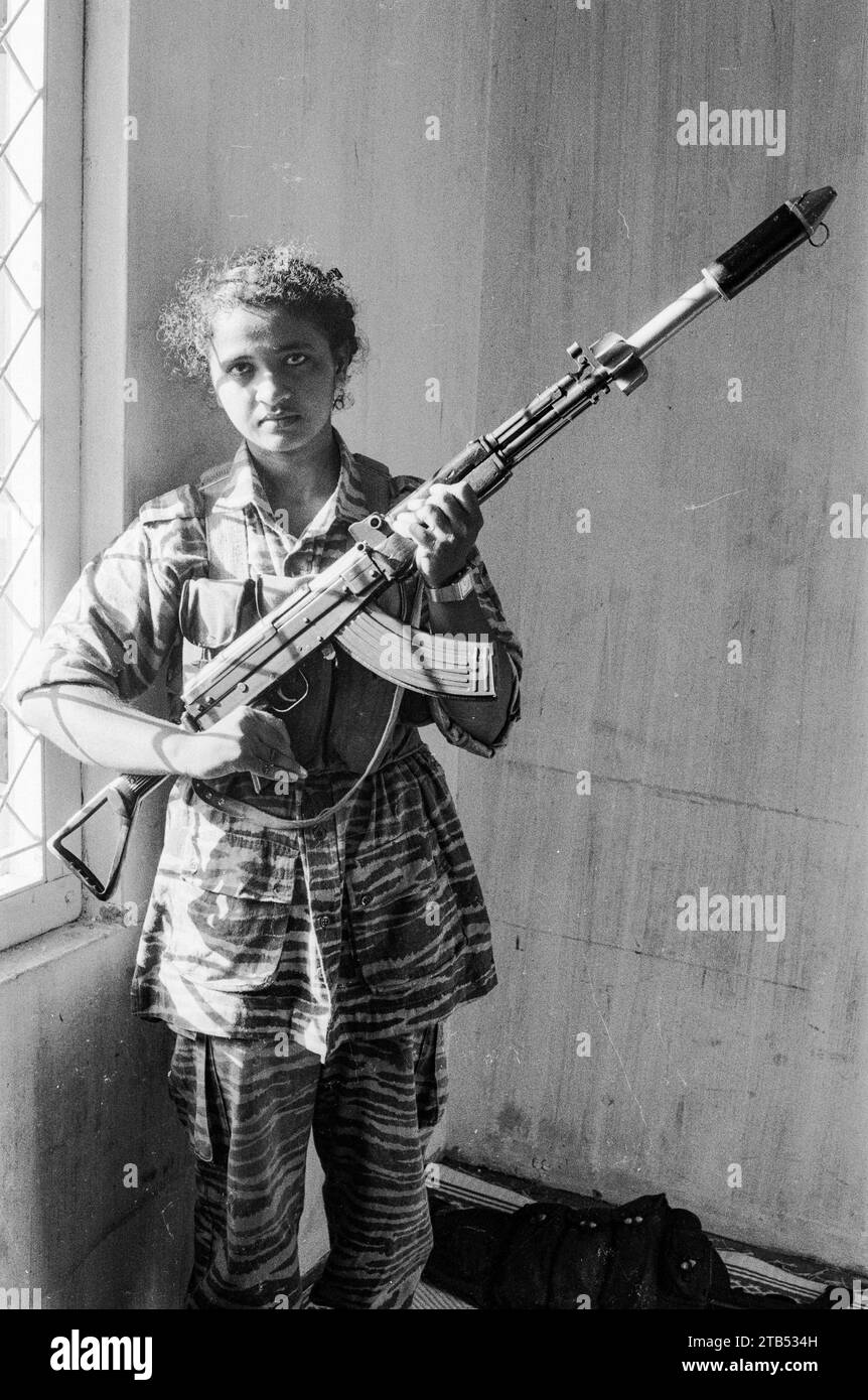 Die Liberation Tigers of Tamil Eelam LTTE kämpften für die Schaffung ...