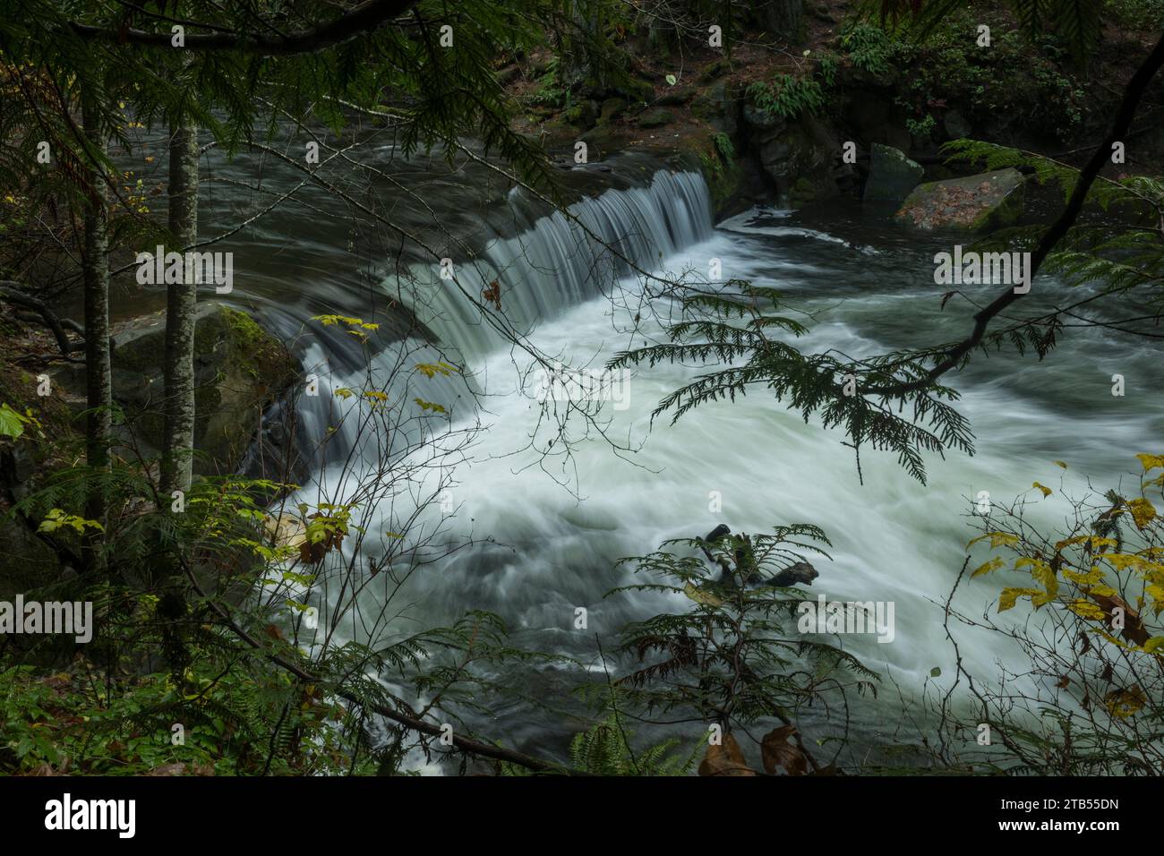 Blick auf einen kleinen Wasserfall im Whatcom Creek im Whatcom Falls ...