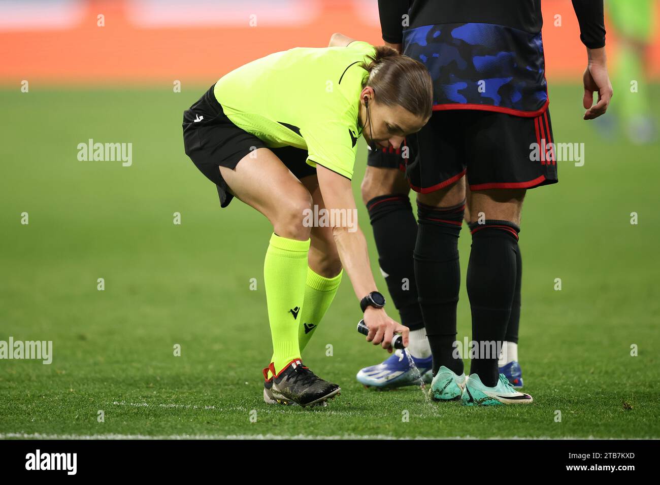 MÜNCHEN, DEUTSCHLAND - 29. NOVEMBER: UEFA Champions League-Spiel zwischen dem FC Bayern MŸnchen ...