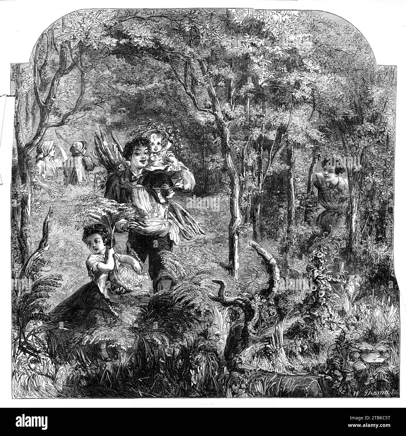"Coming Home by the Shortest Way" - gezeichnet von J. Godwin, 1861 ...