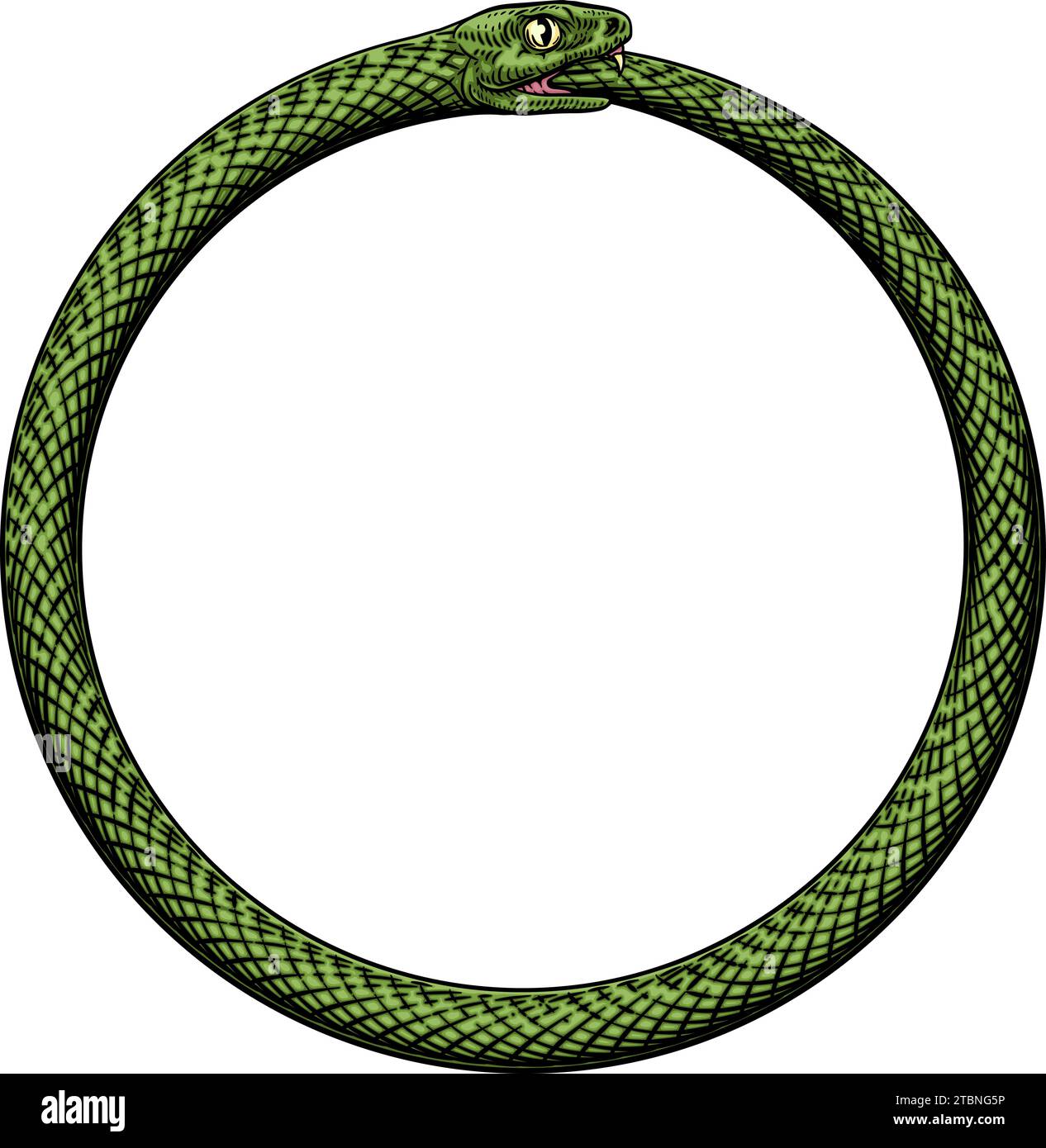 Ouroboros serpent -Fotos und -Bildmaterial in hoher Auflösung – Alamy