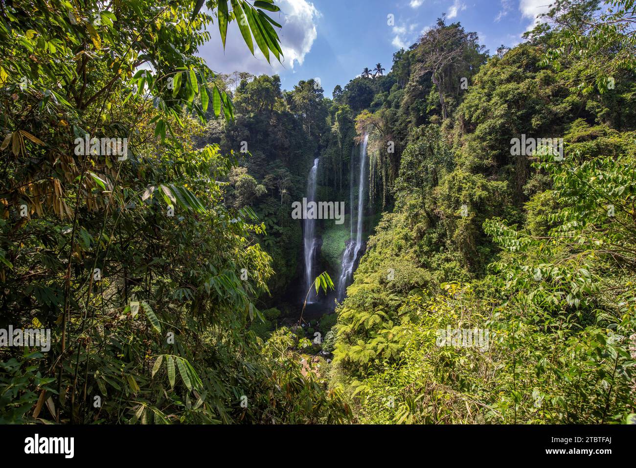 Der Sekumpul Wasserfall, ein großer Wasserfall mitten im Dschungel, der ...
