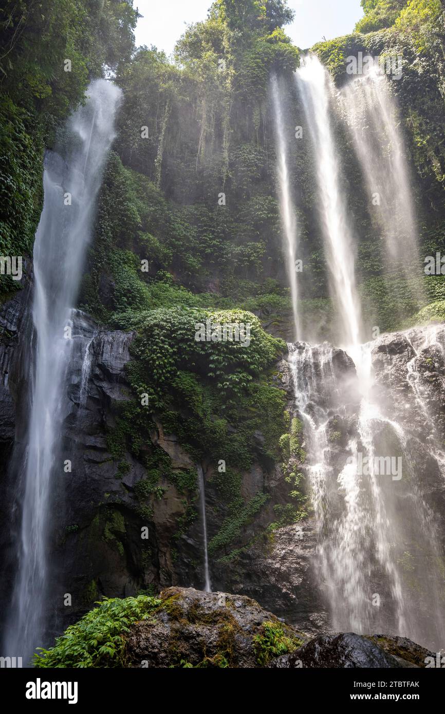 Der Sekumpul Wasserfall, ein großer Wasserfall mitten im Dschungel, der ...