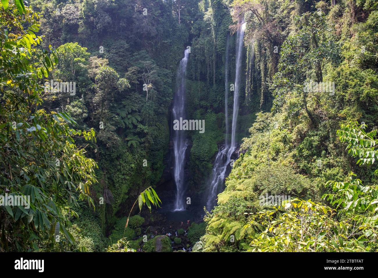 Der Sekumpul Wasserfall, ein großer Wasserfall mitten im Dschungel, der ...