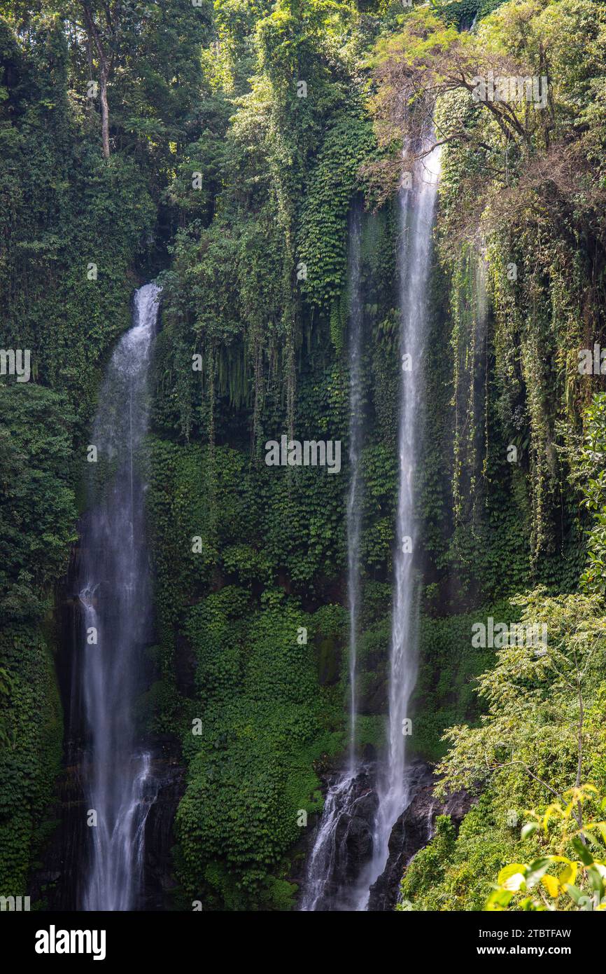 Der Sekumpul Wasserfall, ein großer Wasserfall mitten im Dschungel, der ...