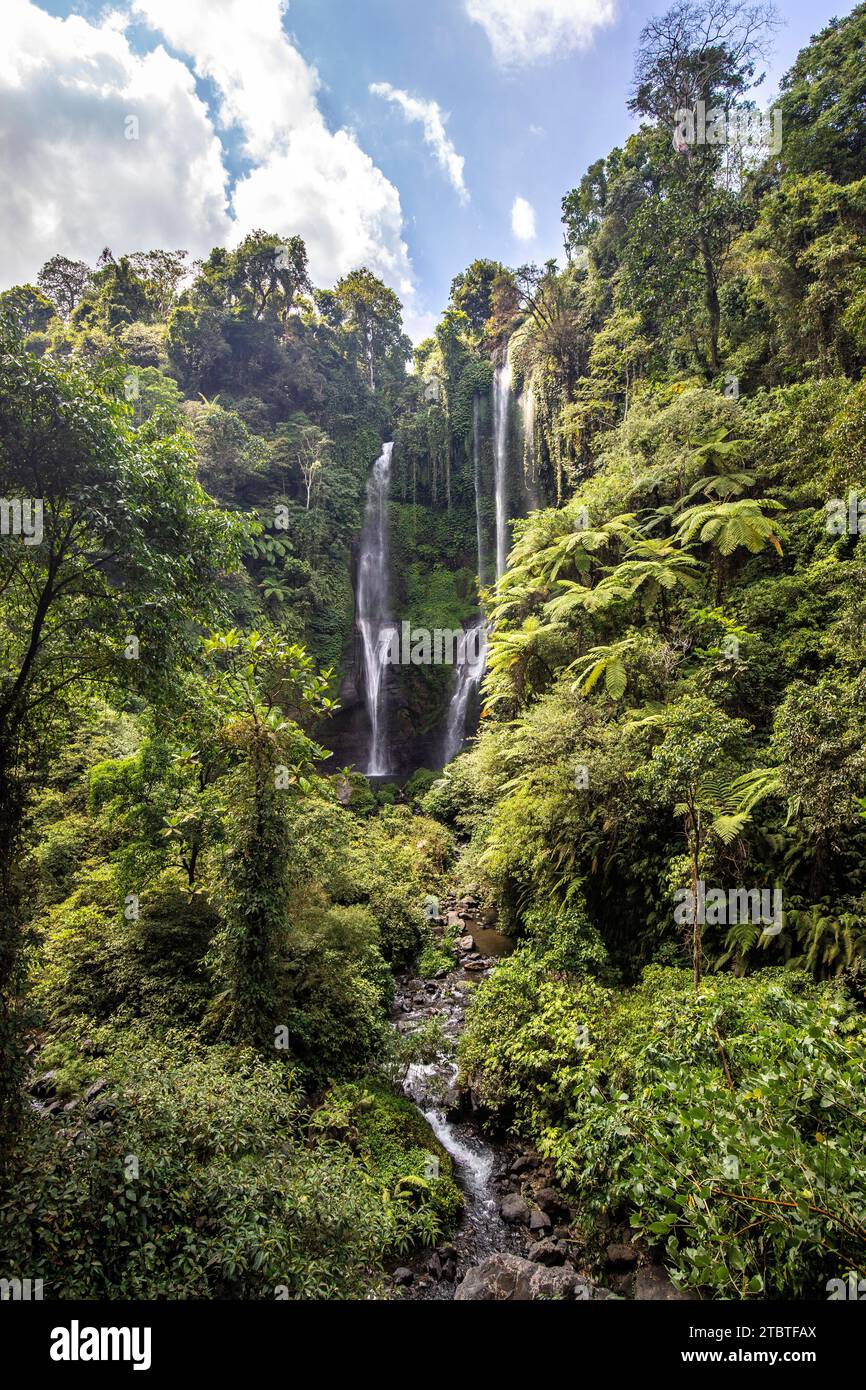 Der Sekumpul Wasserfall, ein großer Wasserfall mitten im Dschungel, der ...