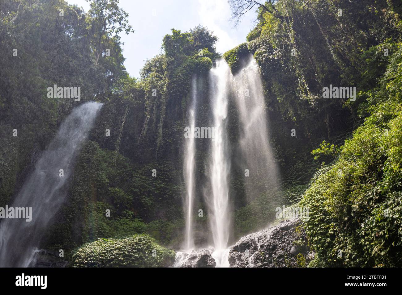 Der Sekumpul Wasserfall, ein großer Wasserfall mitten im Dschungel, der ...