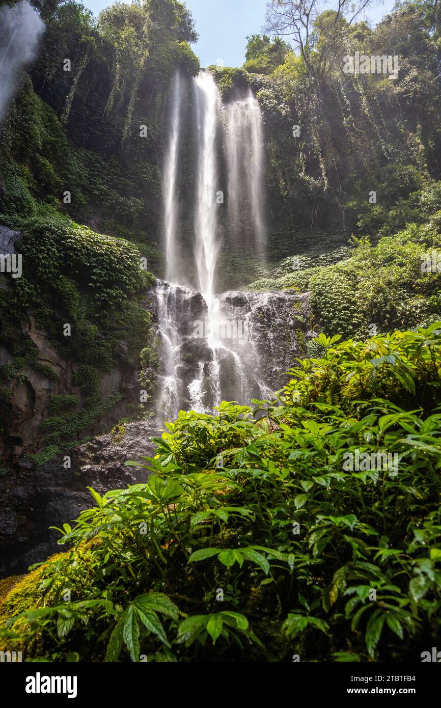 Der Sekumpul Wasserfall, ein großer Wasserfall mitten im Dschungel, der ...