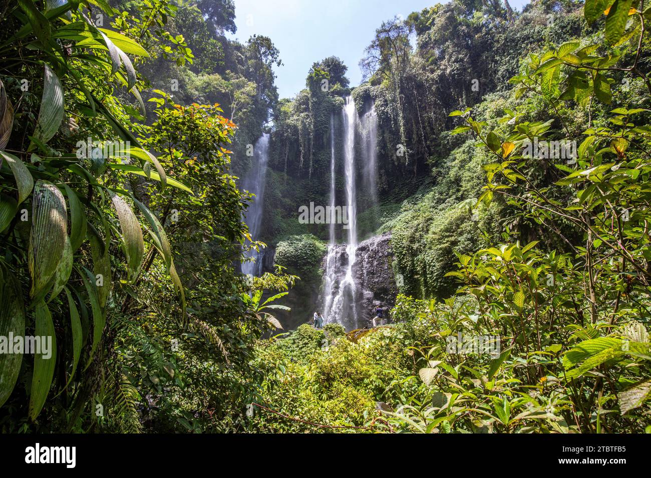 Der Sekumpul Wasserfall, ein großer Wasserfall mitten im Dschungel, der ...