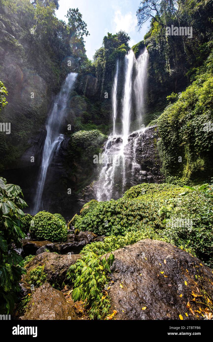 Der Sekumpul Wasserfall, ein großer Wasserfall mitten im Dschungel, der ...