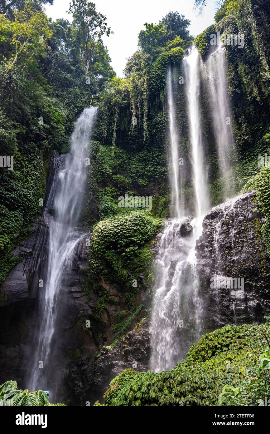 Der Sekumpul Wasserfall, ein großer Wasserfall mitten im Dschungel, der ...