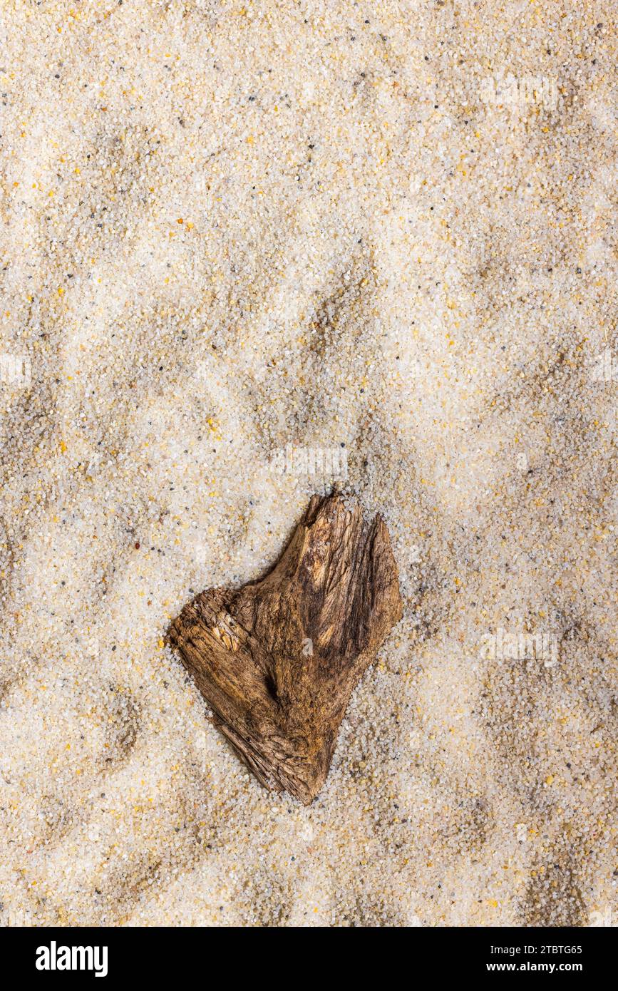 Stein am strand -Fotos und -Bildmaterial in hoher Auflösung – Alamy