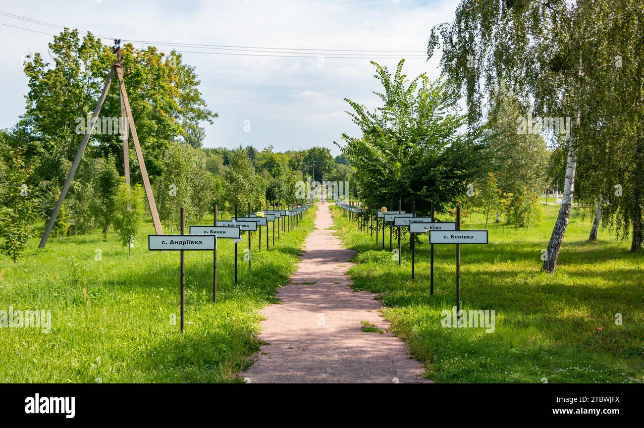 Ein Bild des Zirka Polyn Monuments, das die Städte zeigt, die wegen des ...