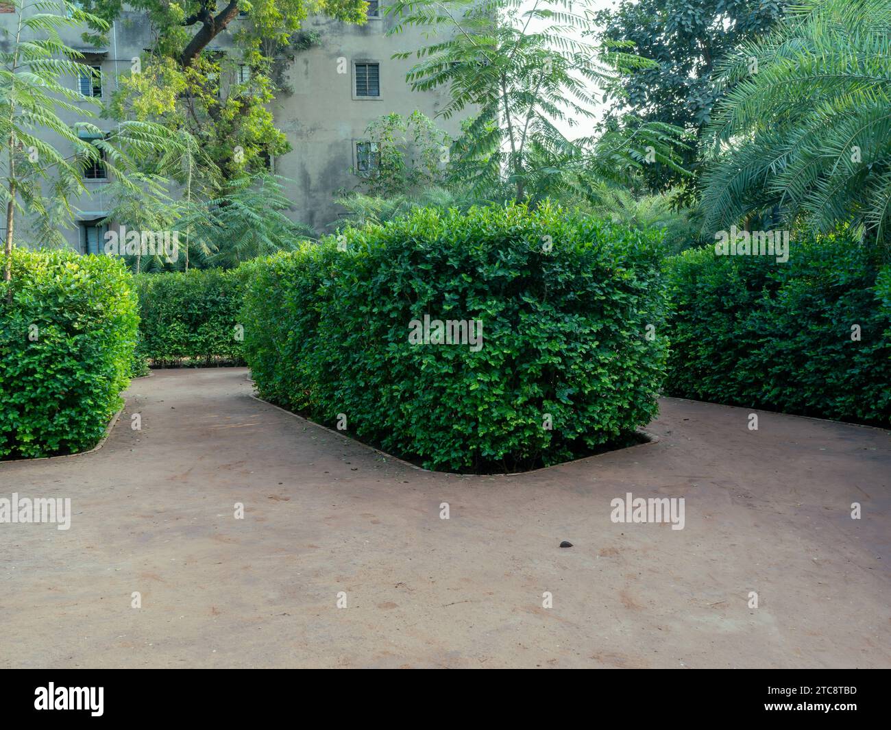 Das sind wunderschöne Gartenfotos. Auf diesem Foto sehen Sie Pflanzen ...