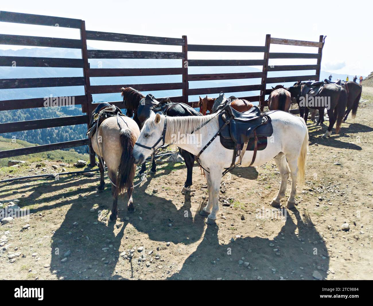 Trage den sommer -Fotos und -Bildmaterial in hoher Auflösung – Alamy