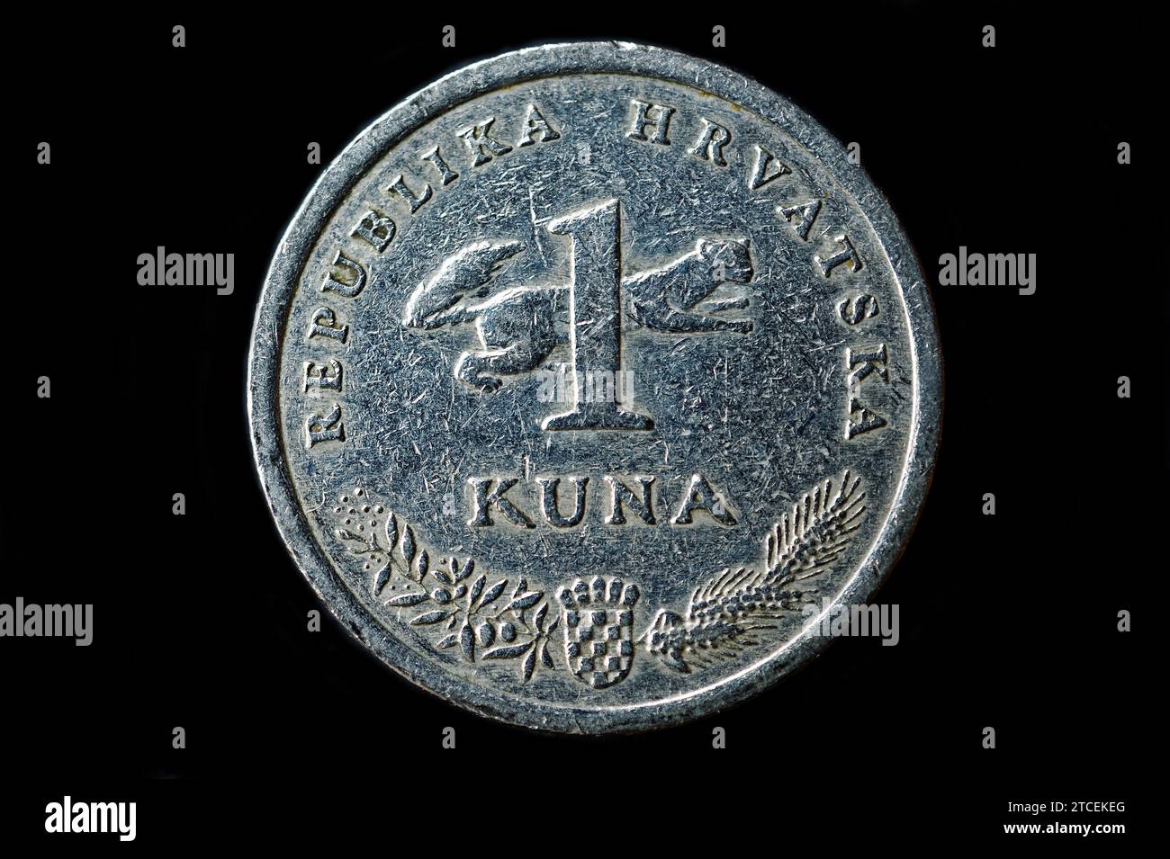 1 kuna -Fotos und -Bildmaterial in hoher Auflösung – Alamy