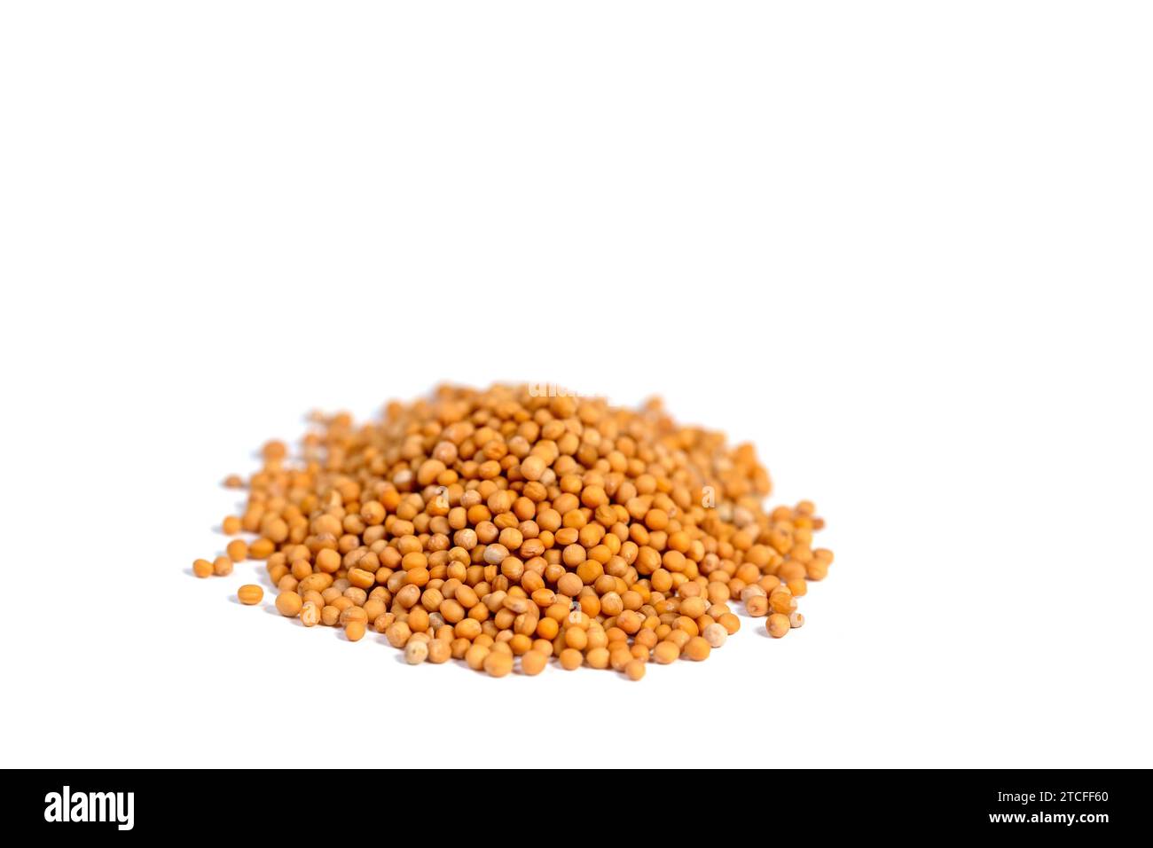 Senf pflanzensamen -Fotos und -Bildmaterial in hoher Auflösung – Alamy