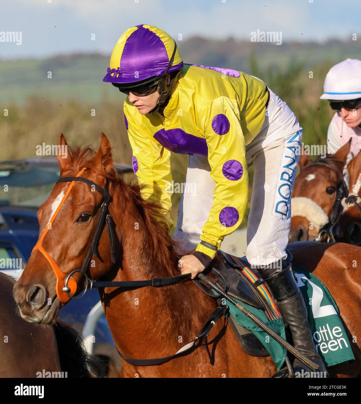 Die Royal Racecourse, Lisburn, Nordirland. November 2023. Ladbrokes ...
