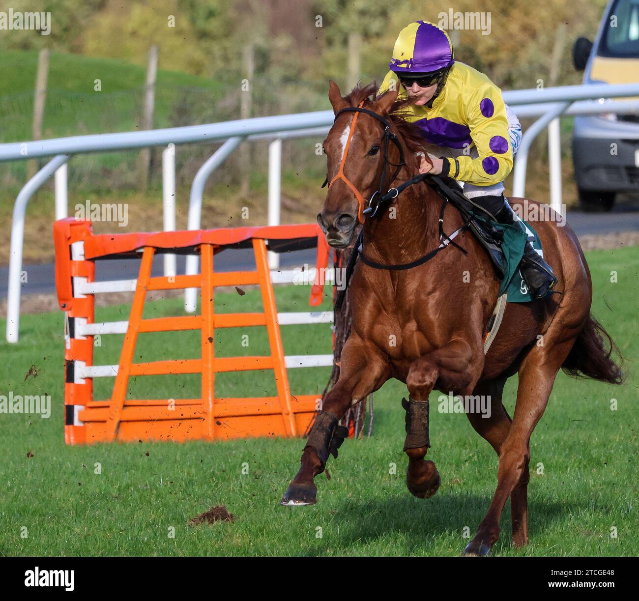 Die Royal Racecourse, Lisburn, Nordirland. November 2023. Ladbrokes ...