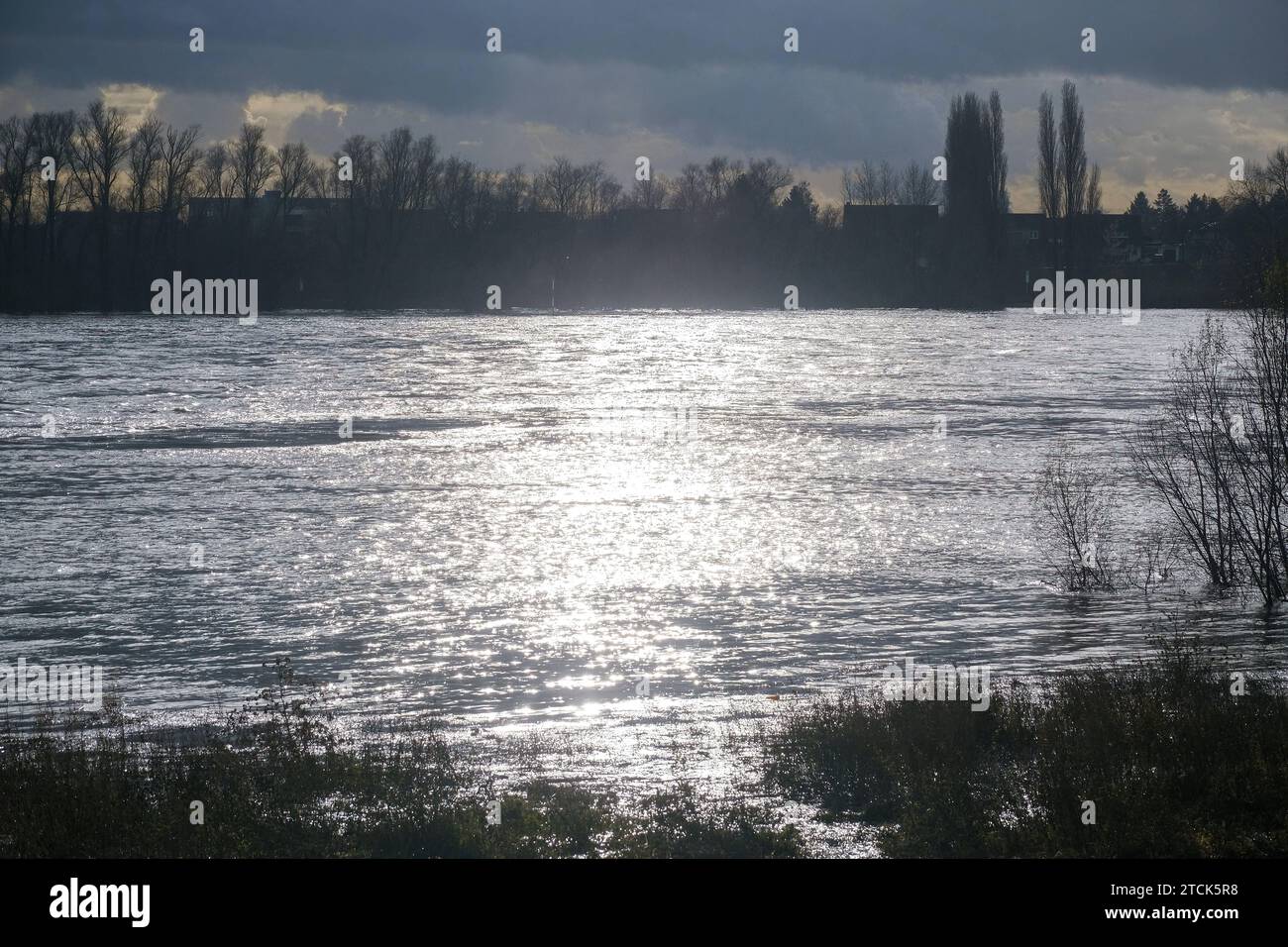 Düsseldorf 13.12.2023 Hochwasser Gewässer Rhein bei Volmerswerth ...
