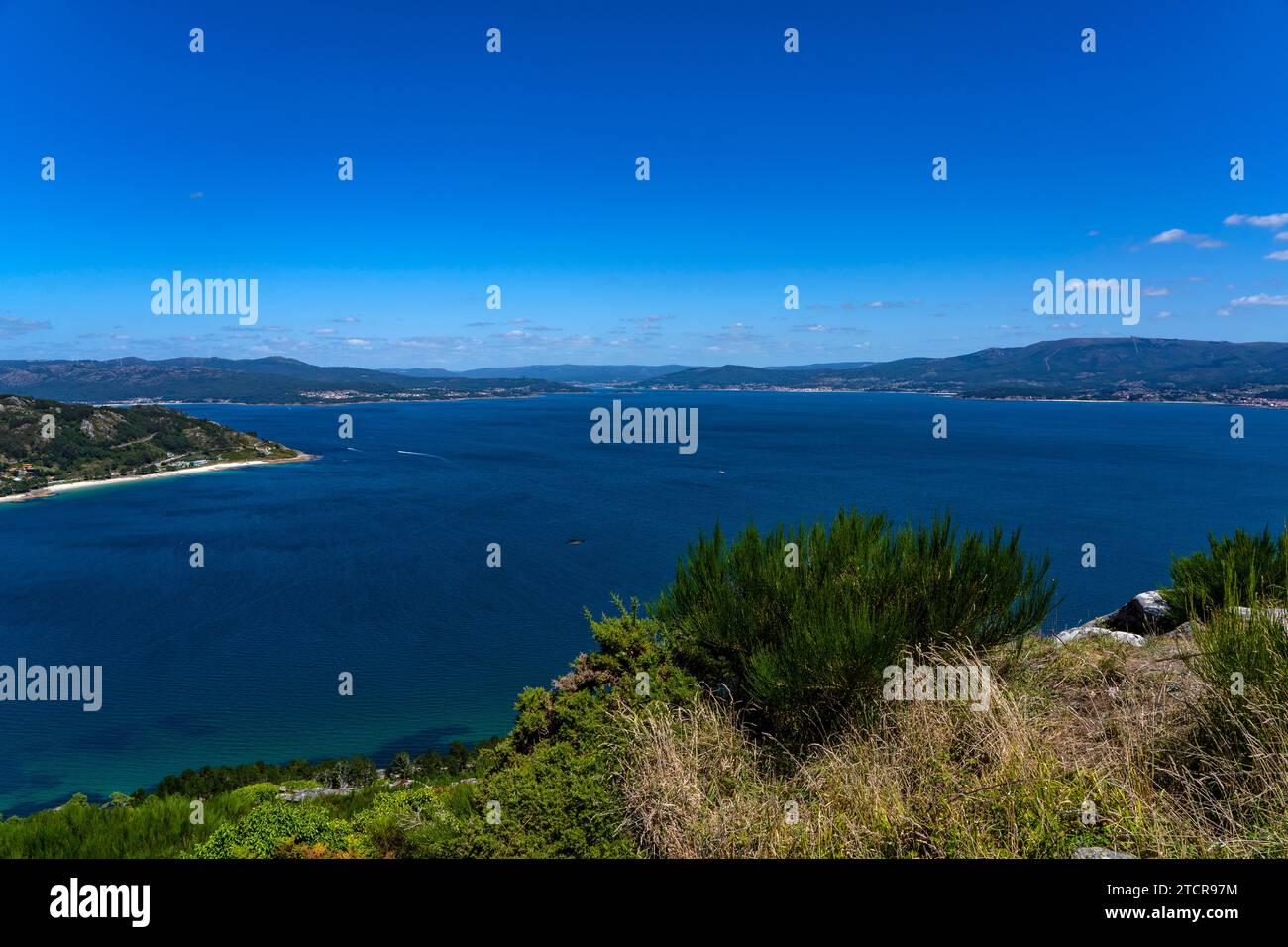 Monte do louro -Fotos und -Bildmaterial in hoher Auflösung – Alamy
