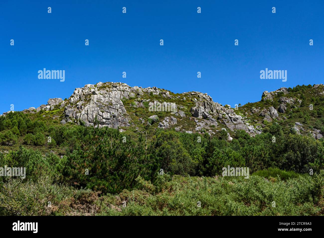 Monte do louro -Fotos und -Bildmaterial in hoher Auflösung – Alamy