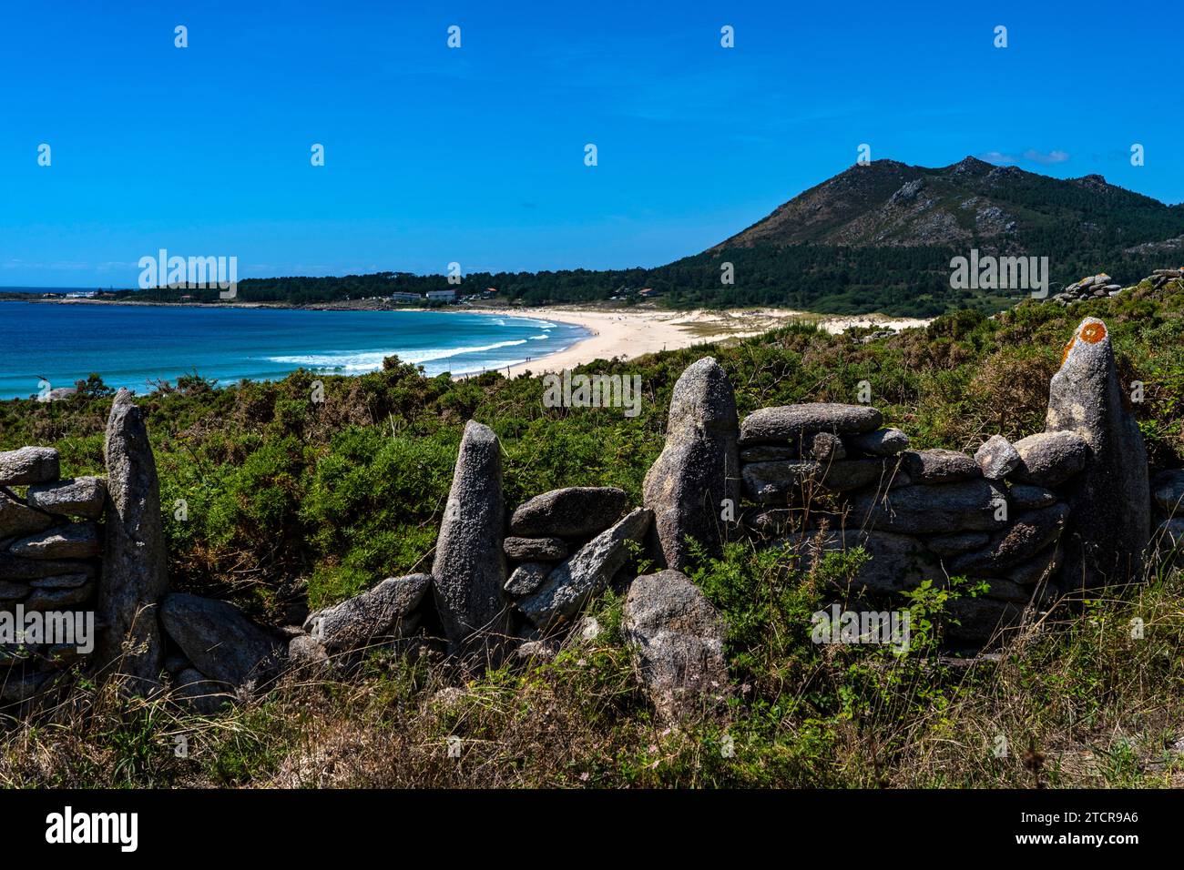 Monte do louro -Fotos und -Bildmaterial in hoher Auflösung – Alamy