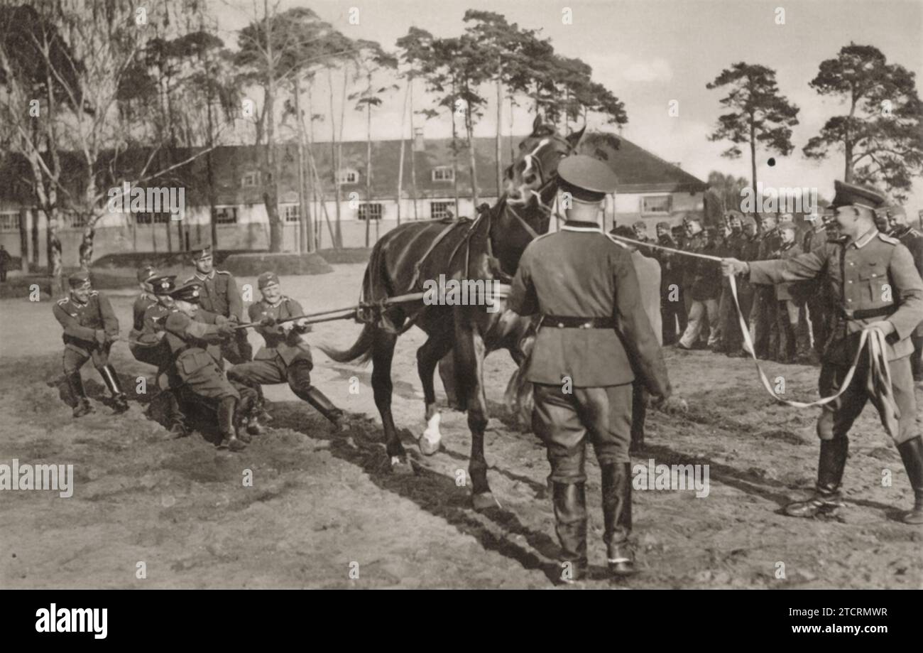 Grundlagen zum reiten -Fotos und -Bildmaterial in hoher Auflösung – Alamy