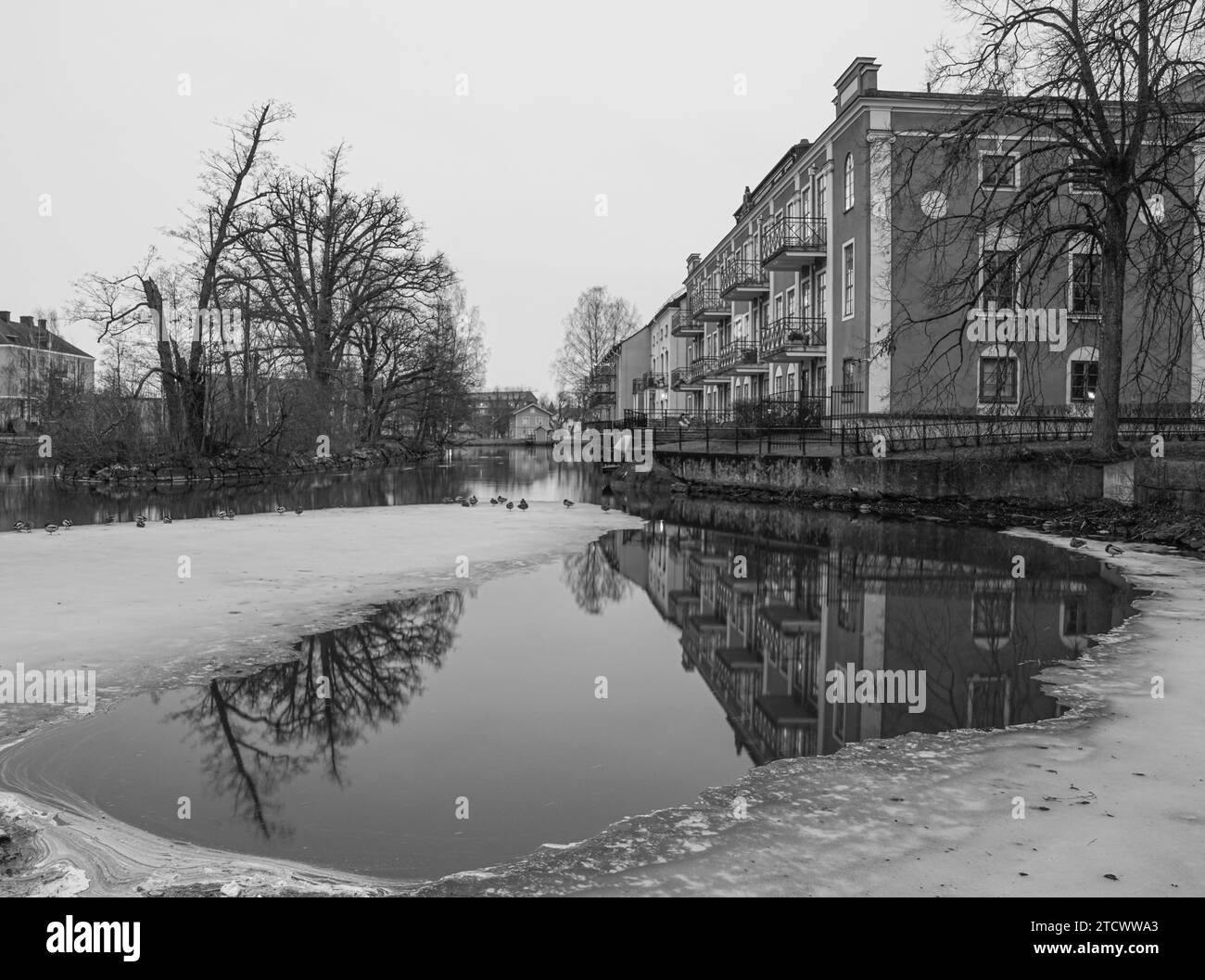 Baum neben wasser Schwarzweiß-Stockfotos und -bilder - Alamy