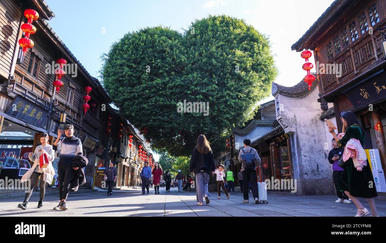 Ein Banyan-Baum, der der Form eines Herzens ähnelt, zieht Touristen in ...