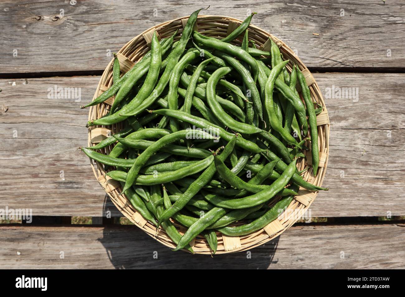 Avarekalu saaru -Fotos und -Bildmaterial in hoher Auflösung – Alamy