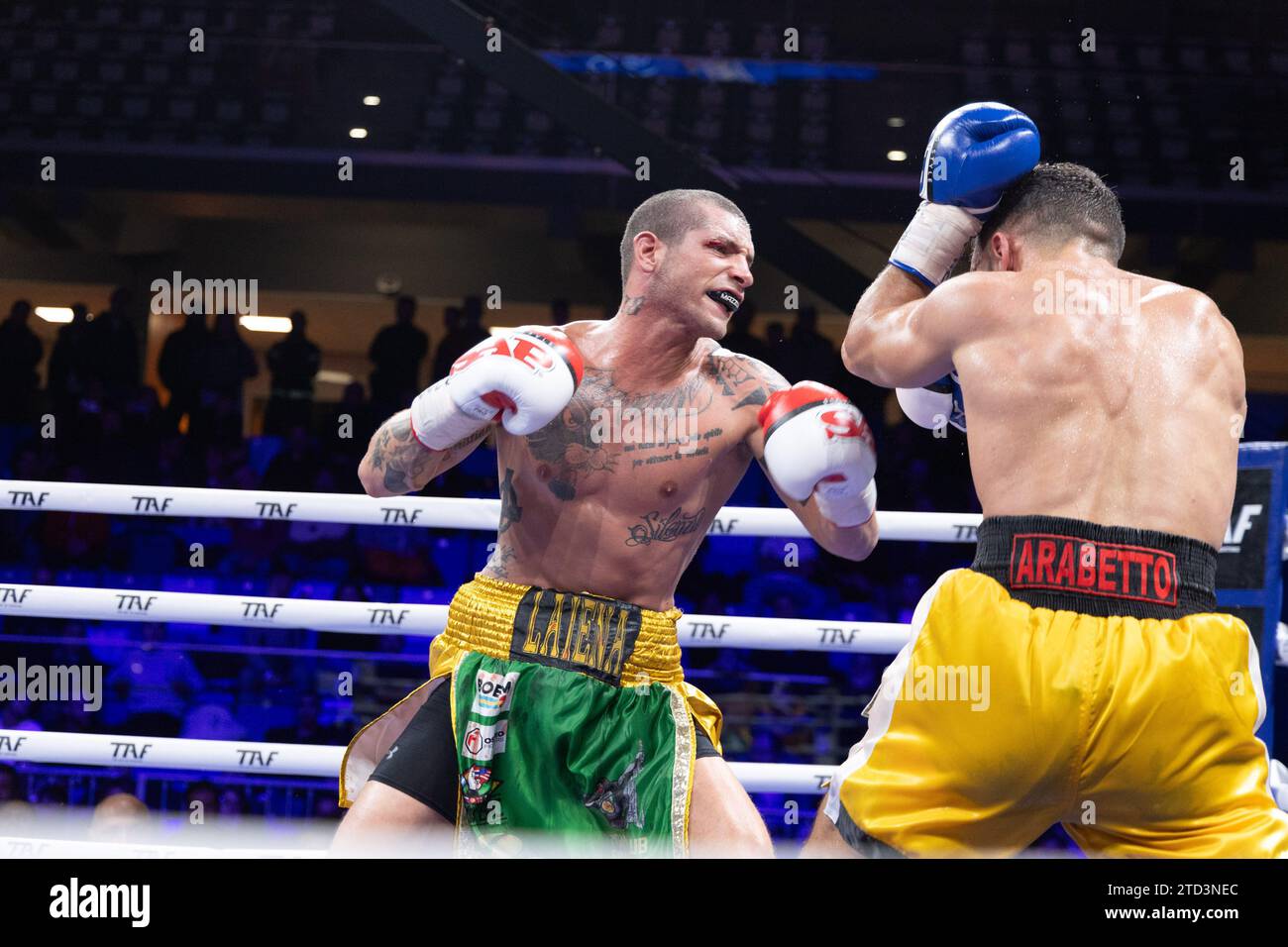 WBC Mediterranean Titel - 15.12/2023 â€“ Allianz Cloud Arena Milan â€“ Mazzon vs El Harraz ...