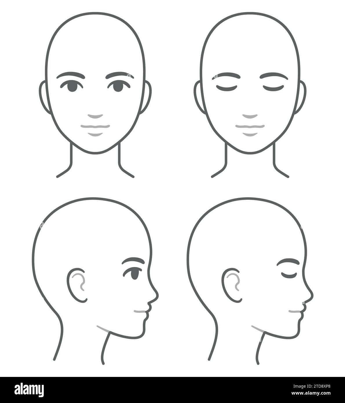 Gesicht- und Kopfprofil der Frau (ohne Haare), Augen offen und ...