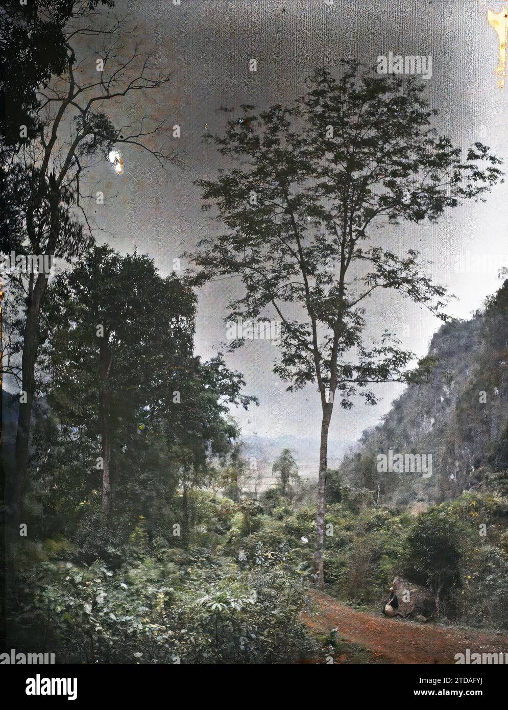 Bo het -Fotos und -Bildmaterial in hoher Auflösung – Alamy