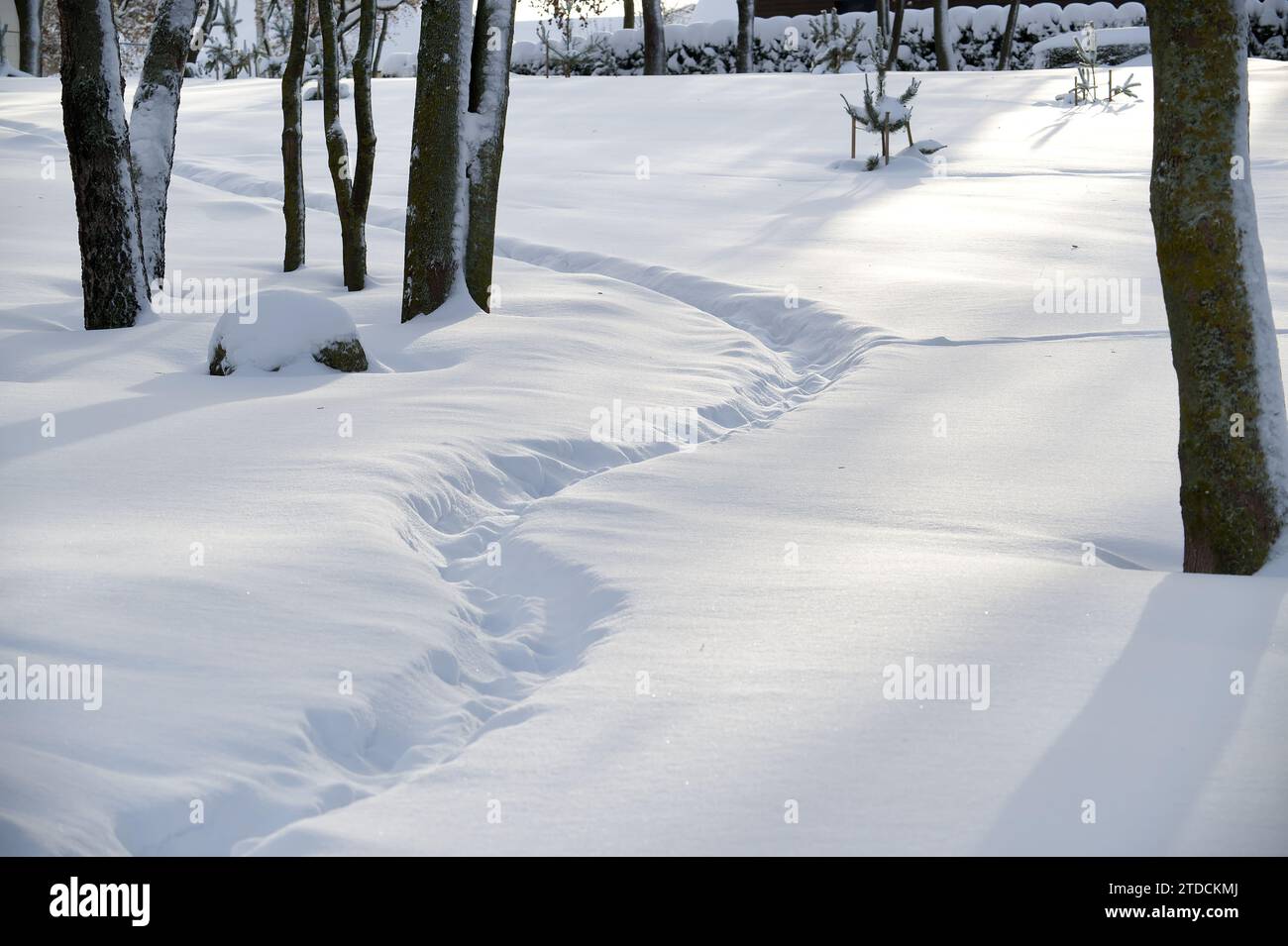Ruhige und ruhige Winterszene mit einer tiefen Schneedecke, die den ...