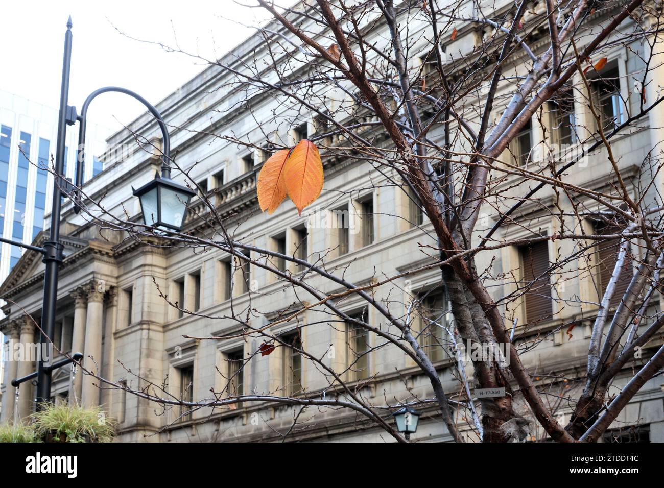 Tokio, Japan. Dezember 2023. Dieses Bild zeigt das Hauptgebäude der ...