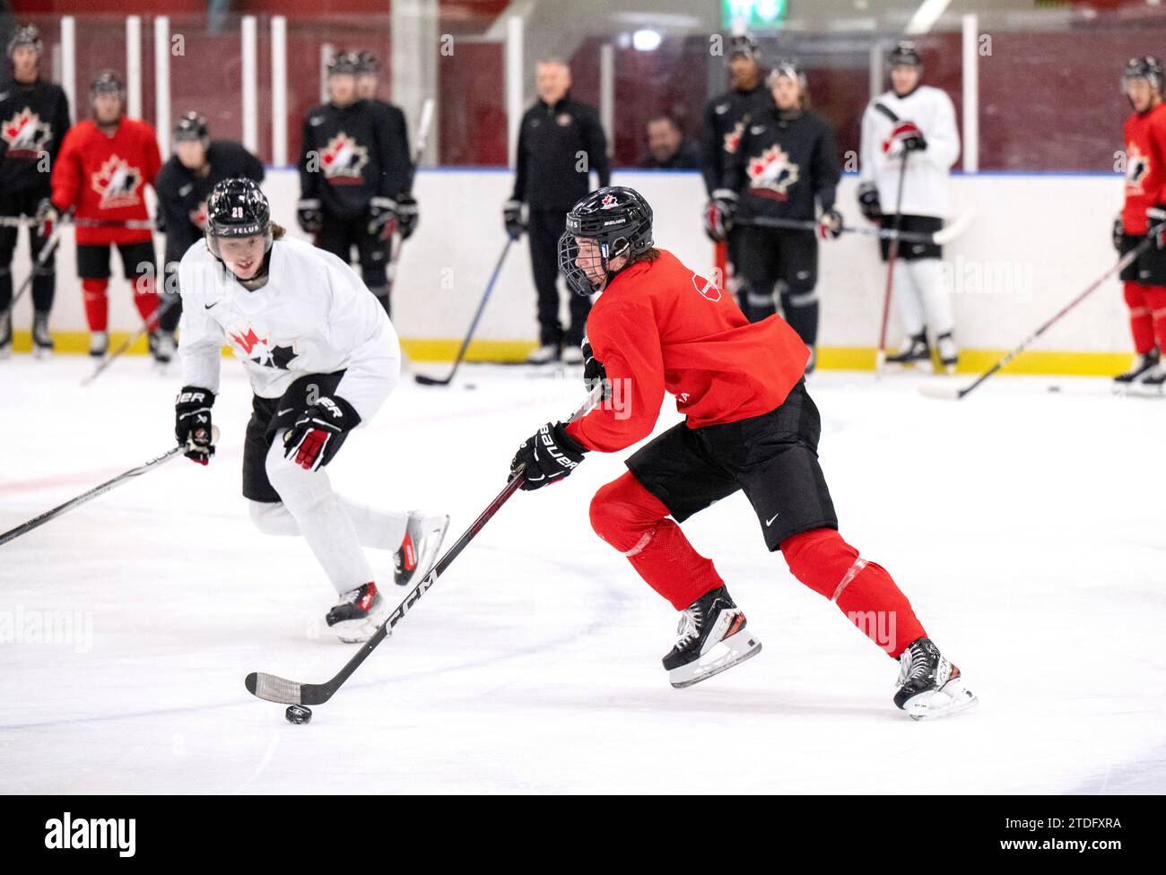 Macklin Celebrini (17) und Conor Geekie (28) trainiert das kanadische ...
